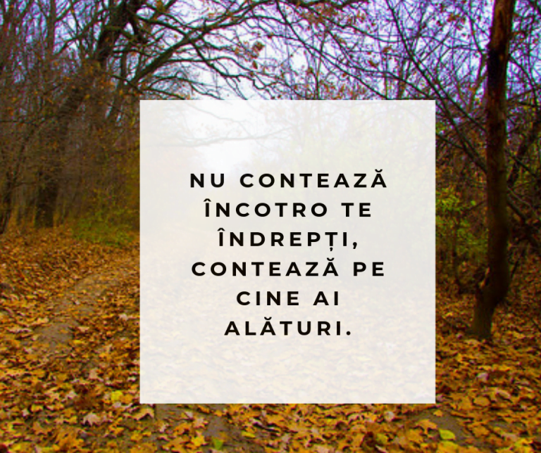 100 Statusuri de viata potrivite pentru social media