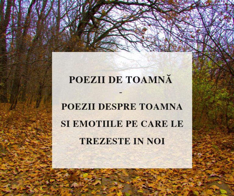 Cele Mai Frumoase Poezii de Toamna ale Poetilor Romani - PostModern