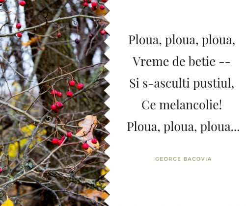 Cele Mai Frumoase Poezii de Toamna ale Poetilor Romani - PostModern