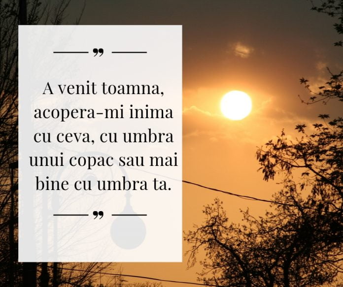 Cele Mai Frumoase Poezii de Toamna ale Poetilor Romani - PostModern