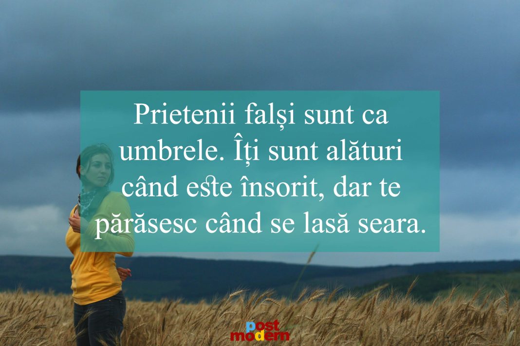 60+ citate despre prietenie și ce înseamnă prietenia adevărată