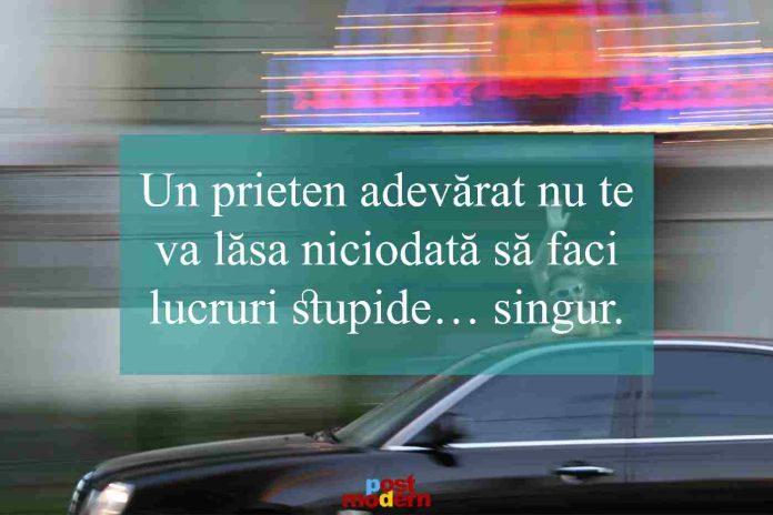 Citate despre prietenie - TOP 100 citate despre frumusețea prieteniei