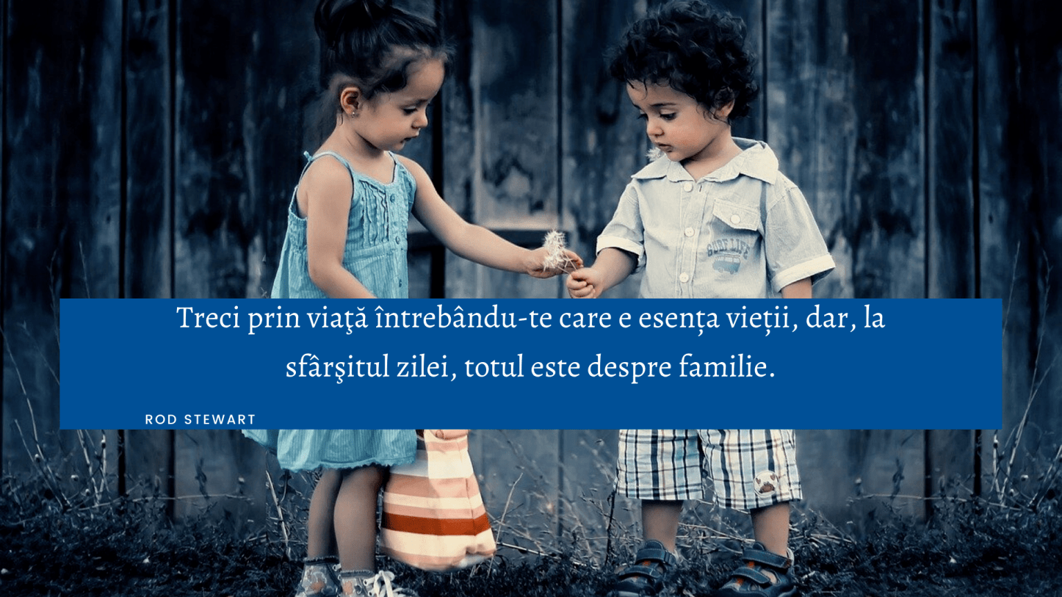 Citate despre familie - 70 citate despre familie si iubirea din familie