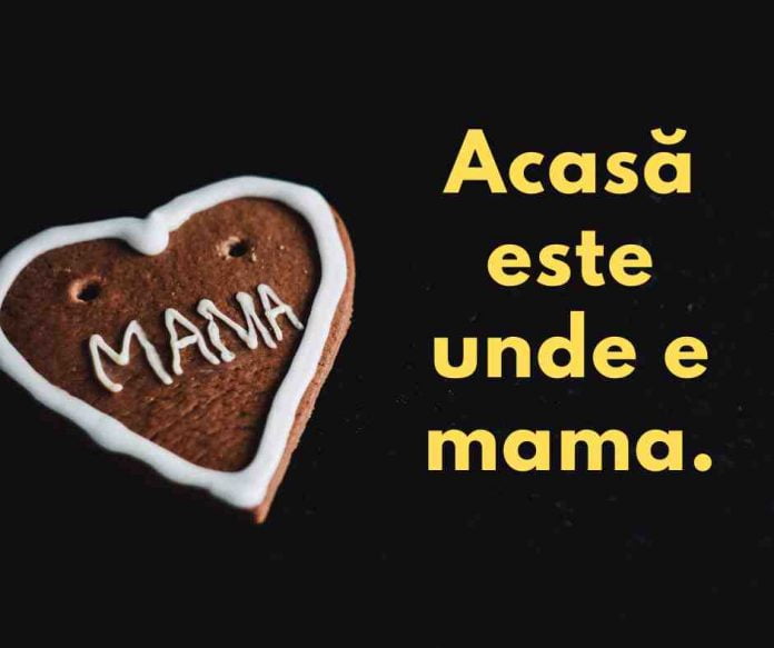 100+ statusuri scurte de impact, pentru orice rețea de socializare