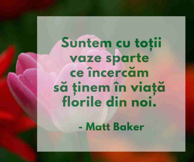 Citate triste - TOP 110 citate dacă te simți trist, melancolic, singur