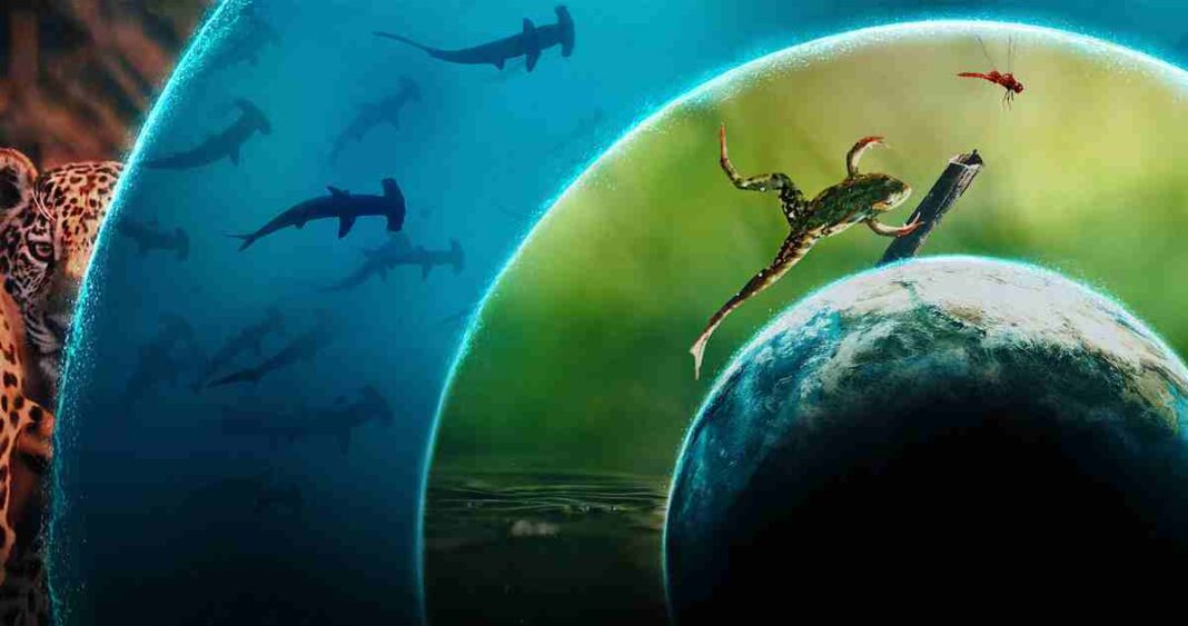 Documentare Netflix - 20 de documentare super interesante - Postmodern