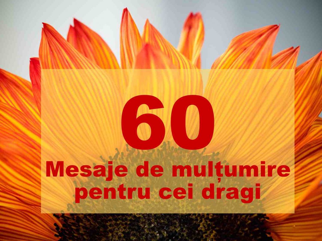 TOP 60 cele mai frumoase și calde mesaje de mulțumire - Postmodern