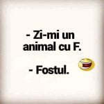 130 Bancuri seci și amuzante ca să râzi pe săturate