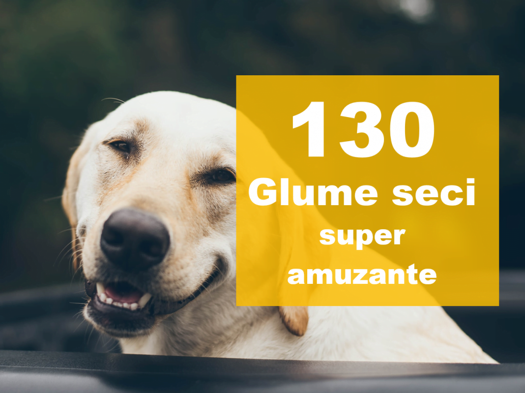 130 Bancuri seci și amuzante ca să râzi pe săturate