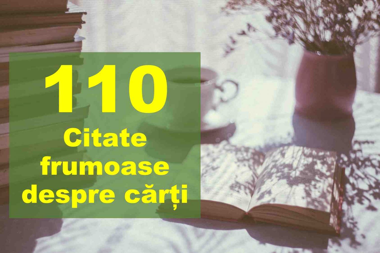 Cele mai frumoase și înțelepte 110 citate despre carti si citit