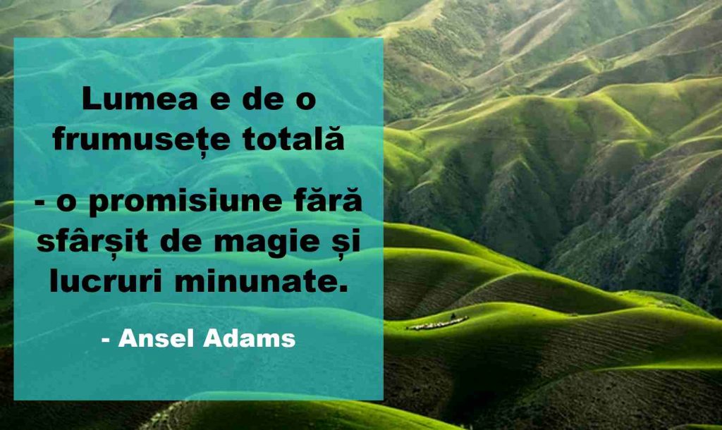 Cele mai frumoase și expresive citate despre natura, mare și munte