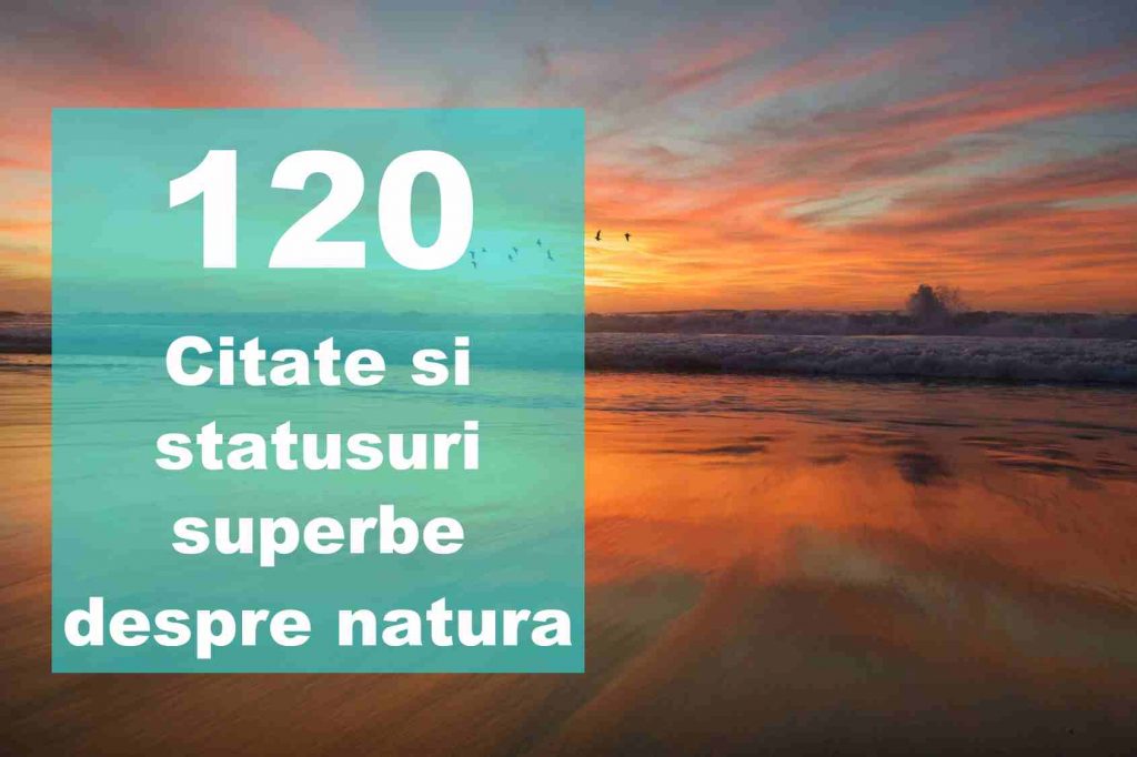 Cele mai frumoase și expresive citate despre natura, mare și munte