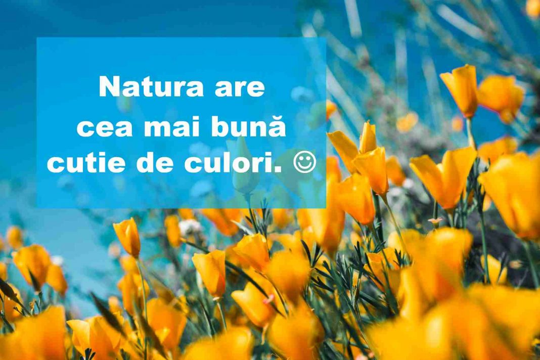 Cele mai frumoase și inspirate 140 statusuri și citate despre flori