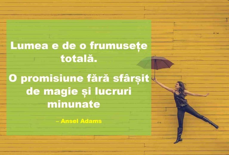 Cele mai inspirate 130 citate pentru poze de postat în social media