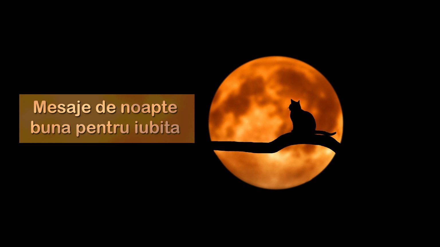 80 cele mai potrivite și frumoase mesaje de noapte buna pentru iubita