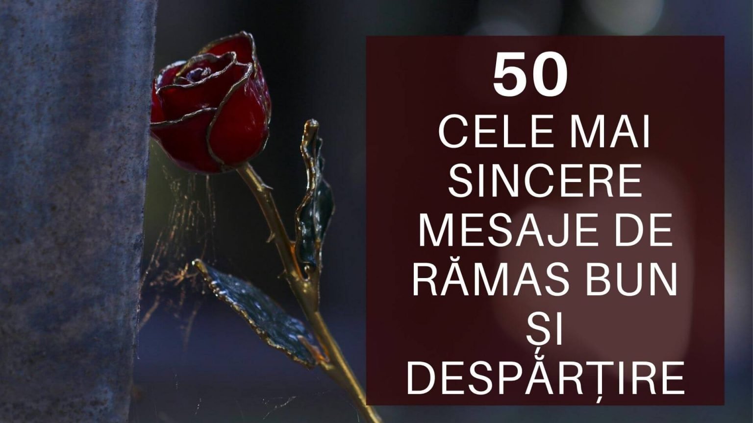 50 cele mai sincere mesaje de rămas bun și despărțire - Postmodern