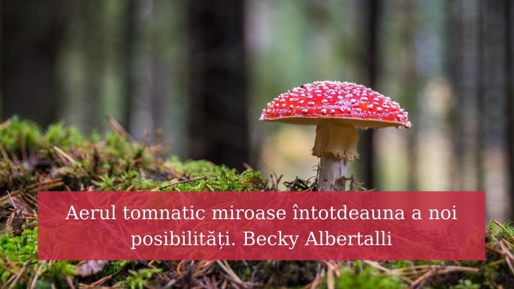 100+ citate despre toamnă, statusuri și proverbe tomnatice frumoase