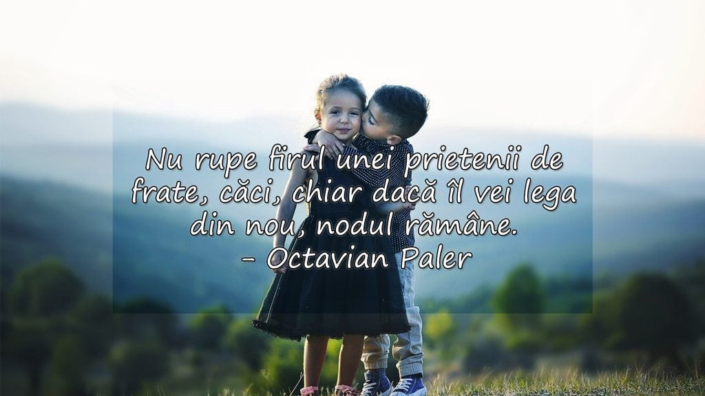 76 Citate despre frati care sa te inspire - Postmodern