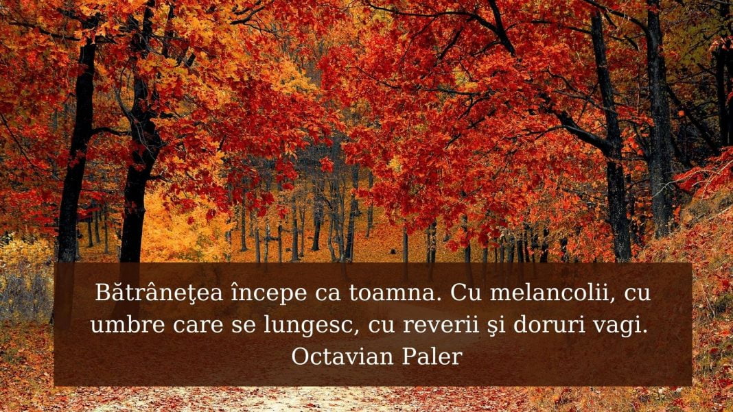 100+ citate despre toamnă, statusuri și proverbe tomnatice frumoase