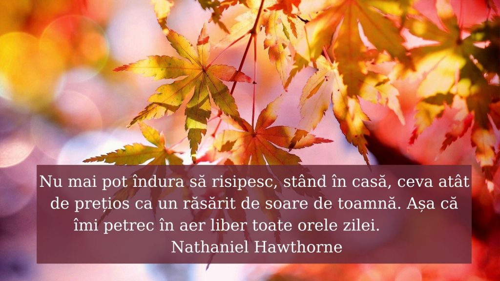 100+ citate despre toamnă, statusuri și proverbe tomnatice frumoase