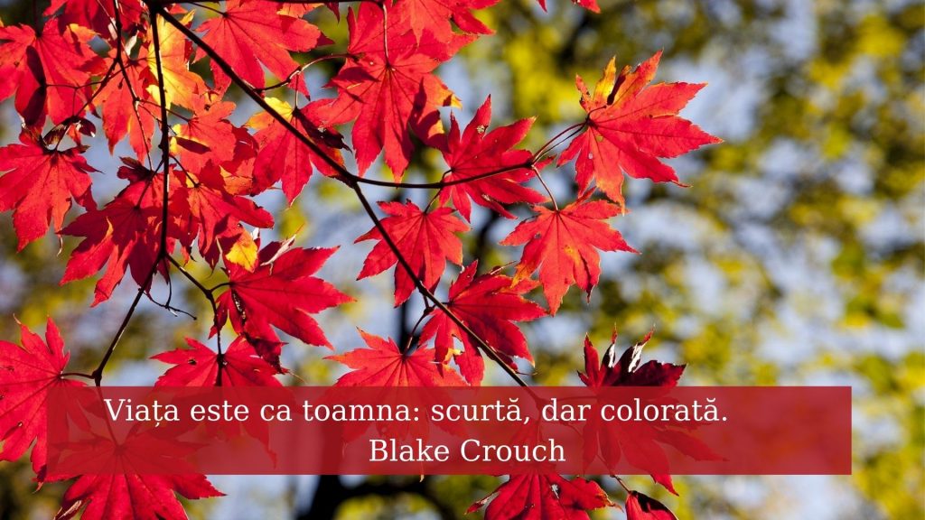 100+ citate despre toamnă, statusuri și proverbe tomnatice frumoase