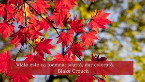 100+ citate despre toamnă, statusuri și proverbe tomnatice frumoase