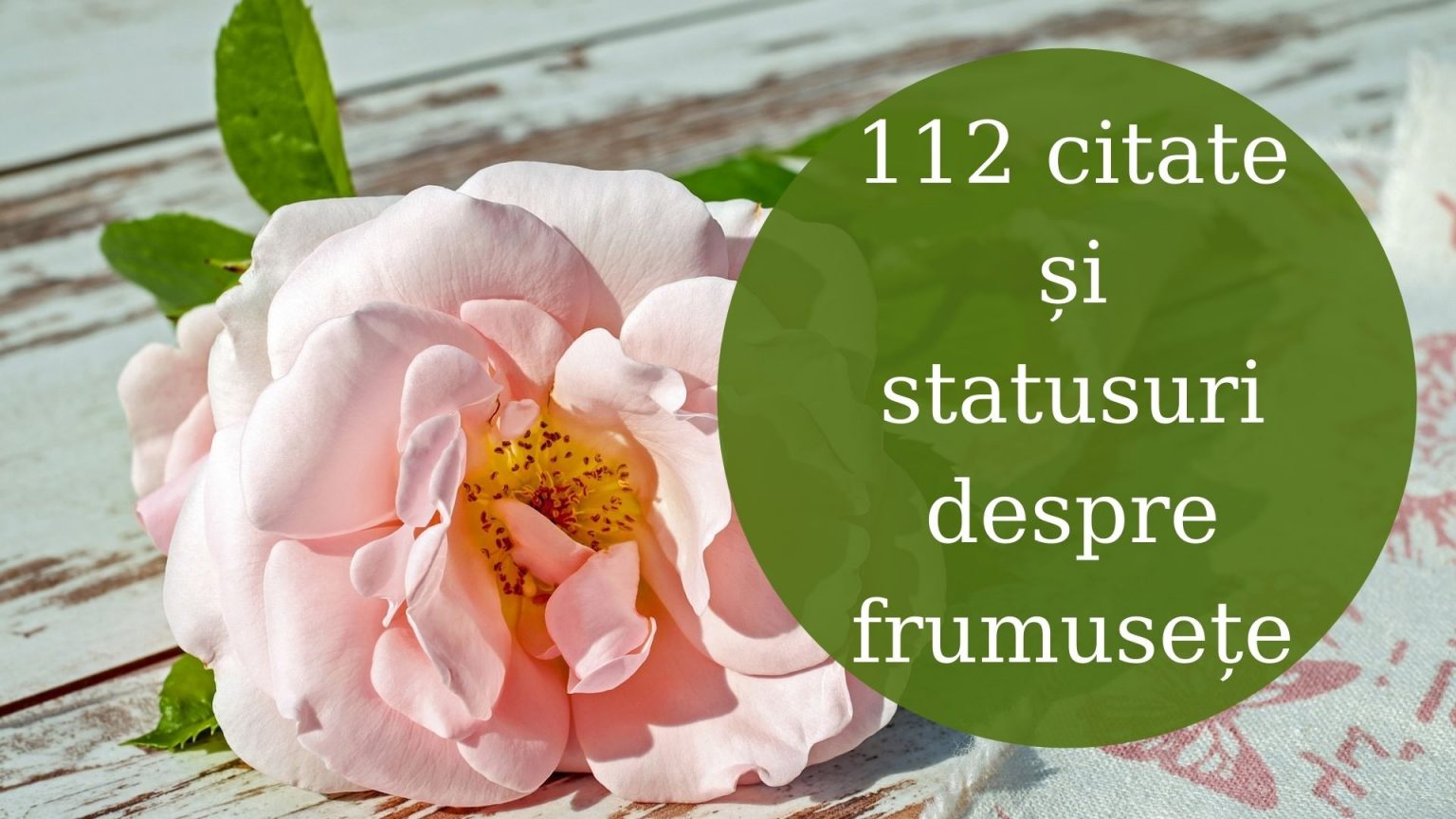 112 cele mai frumoase citate și statusuri despre frumusețe - Postmodern