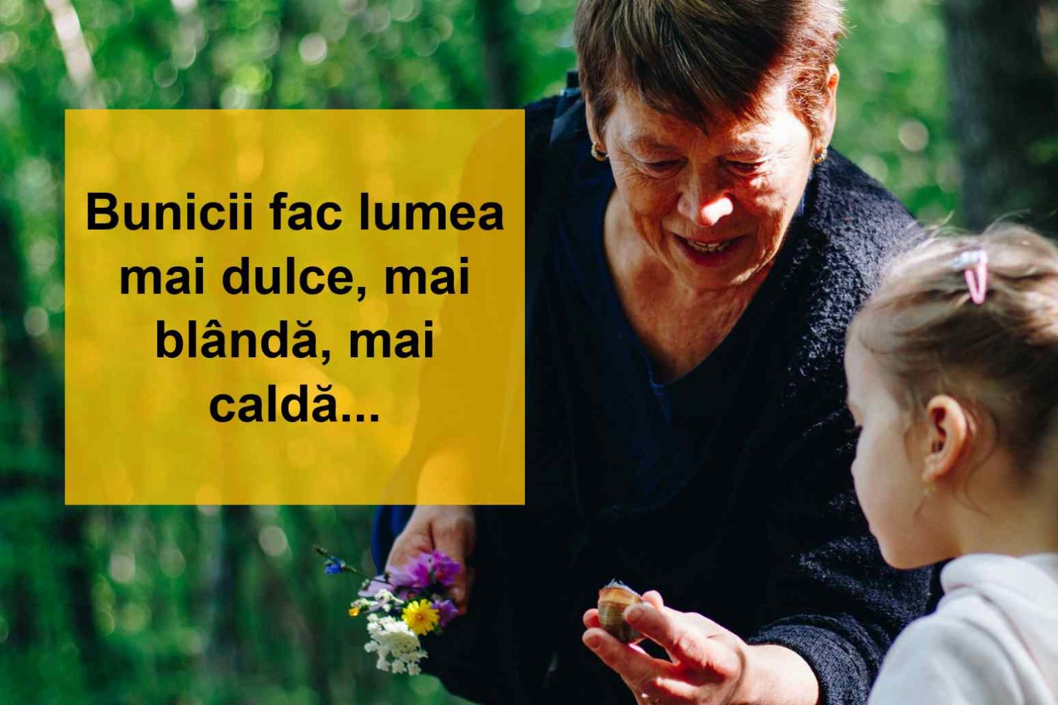 Cele mai frumoase citate despre bunici - Postmodern