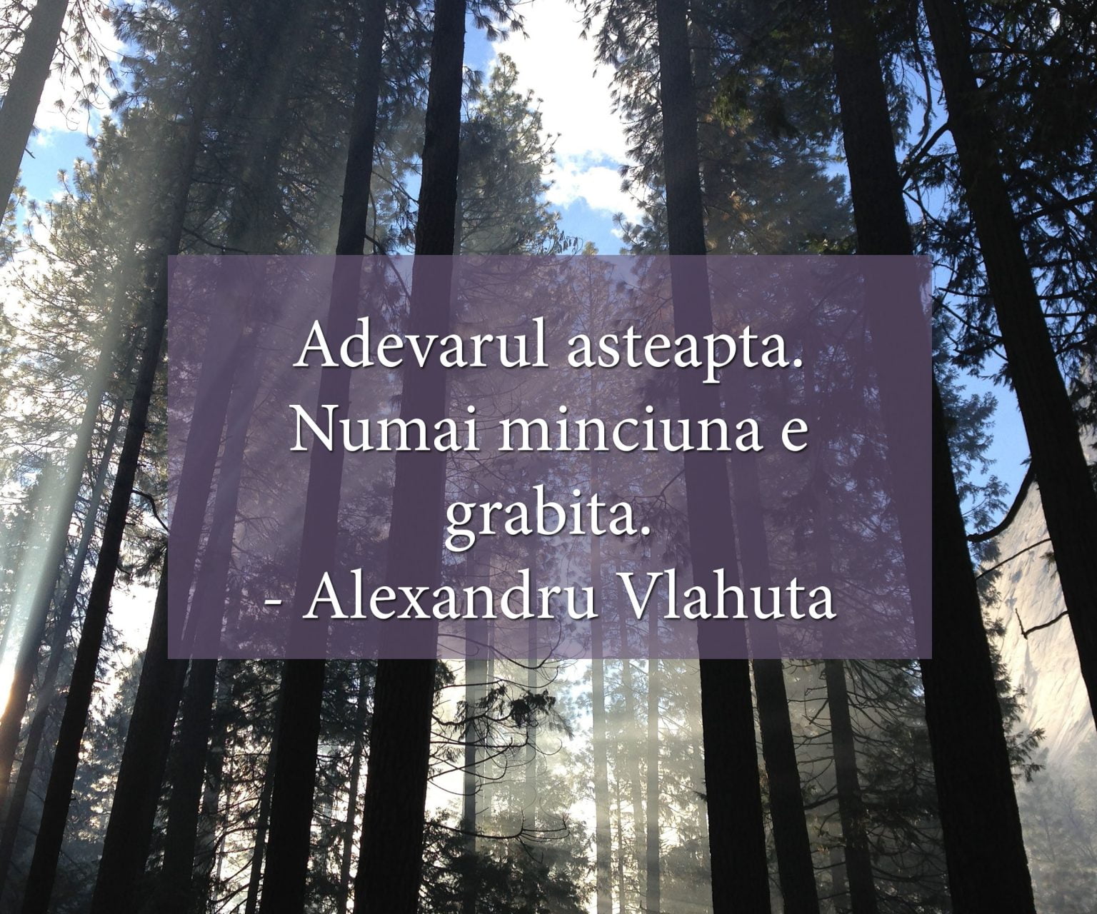 Cele mai expresive proverbe si zicatori despre minciuna - Postmodern