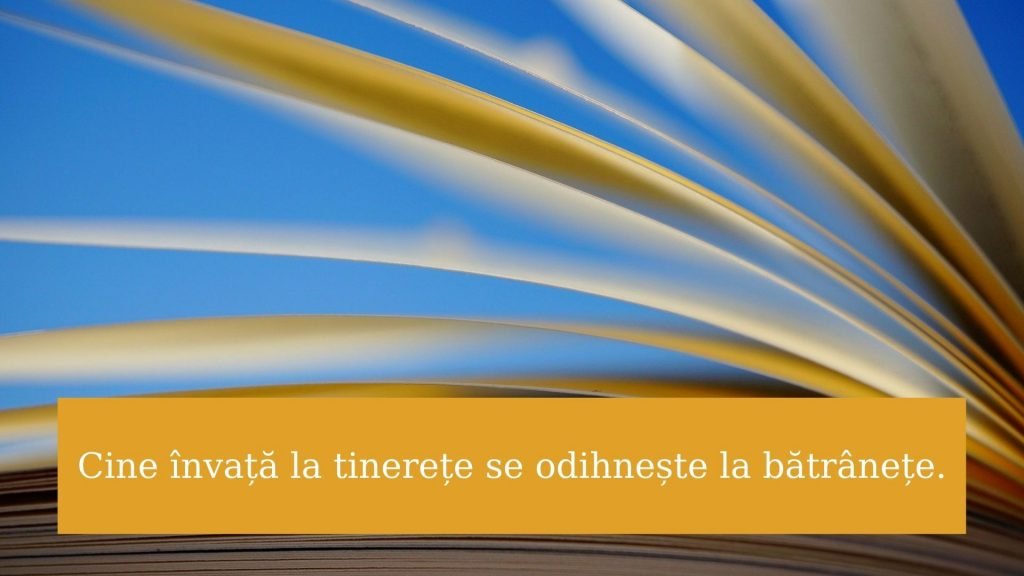 126 Cele mai frumoase proverbe despre învățătură - Postmodern