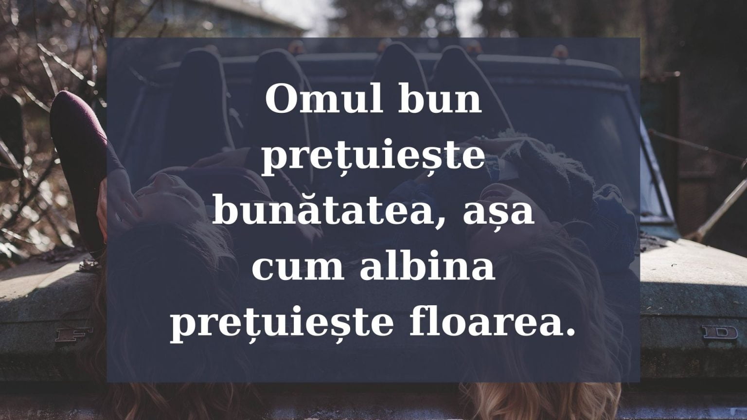 TOP 70 cele mai expresive citate despre bunatate - Postmodern