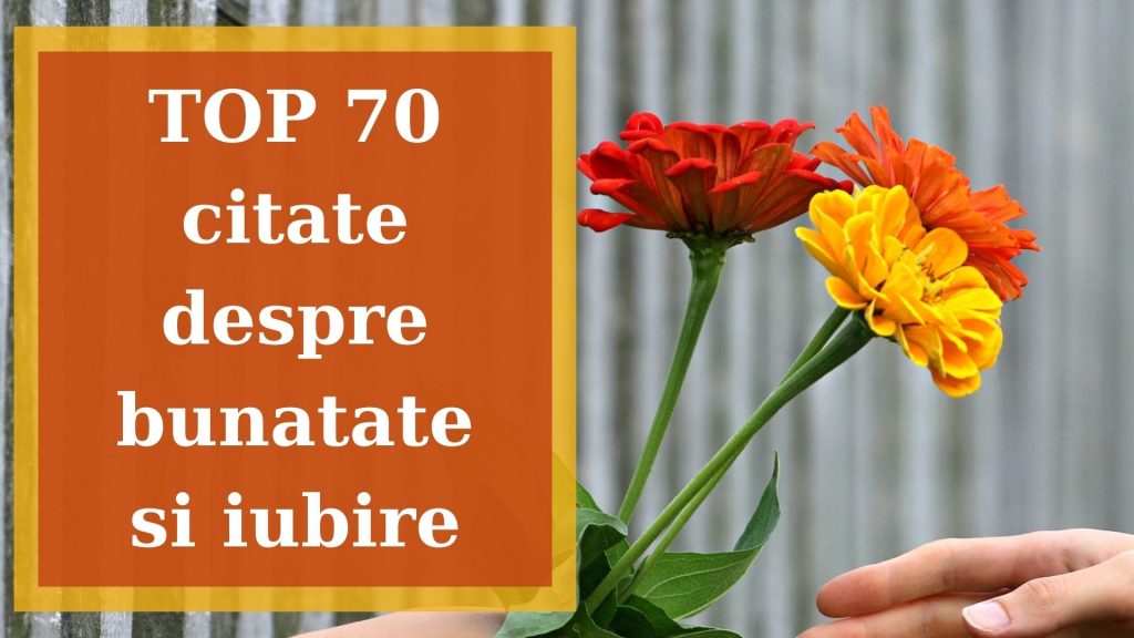 TOP 70 cele mai expresive citate despre bunatate - Postmodern