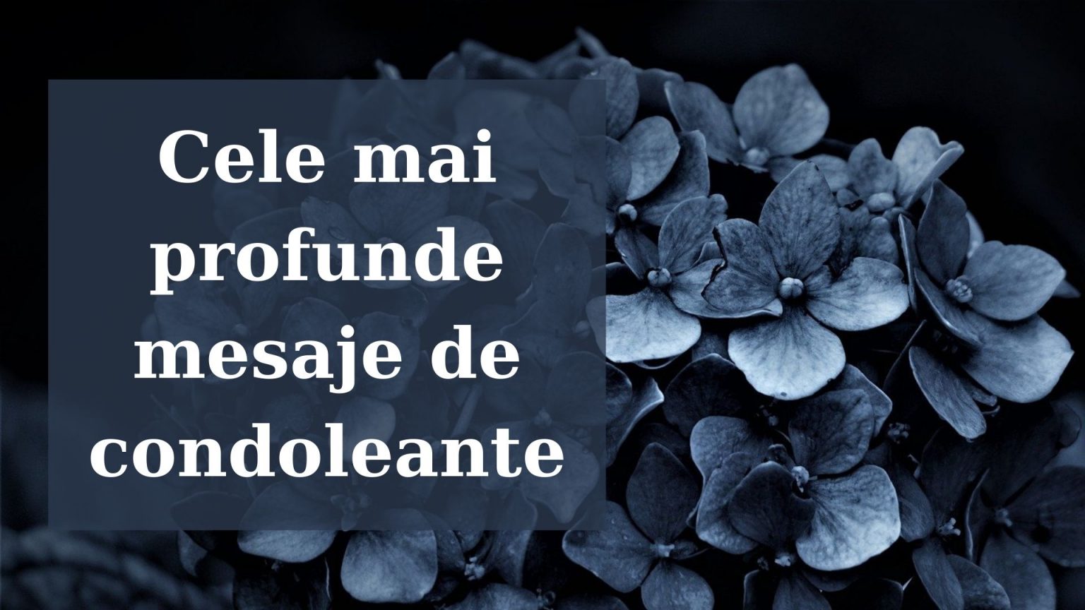 Cele mai profunde mesaje de condoleante - Postmodern