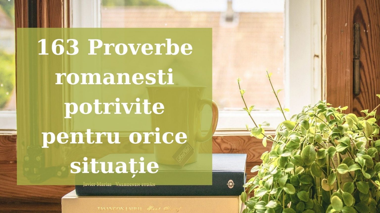 163 Proverbe romanesti potrivite pentru orice situație - Postmodern