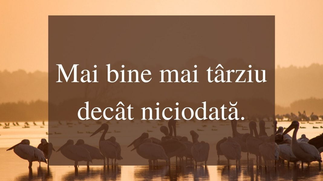 163 Proverbe romanesti potrivite pentru orice situație - Postmodern
