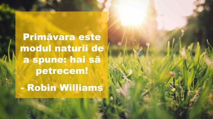 65 Citate despre primavara, frumusețea și emoțiile ei - Postmodern
