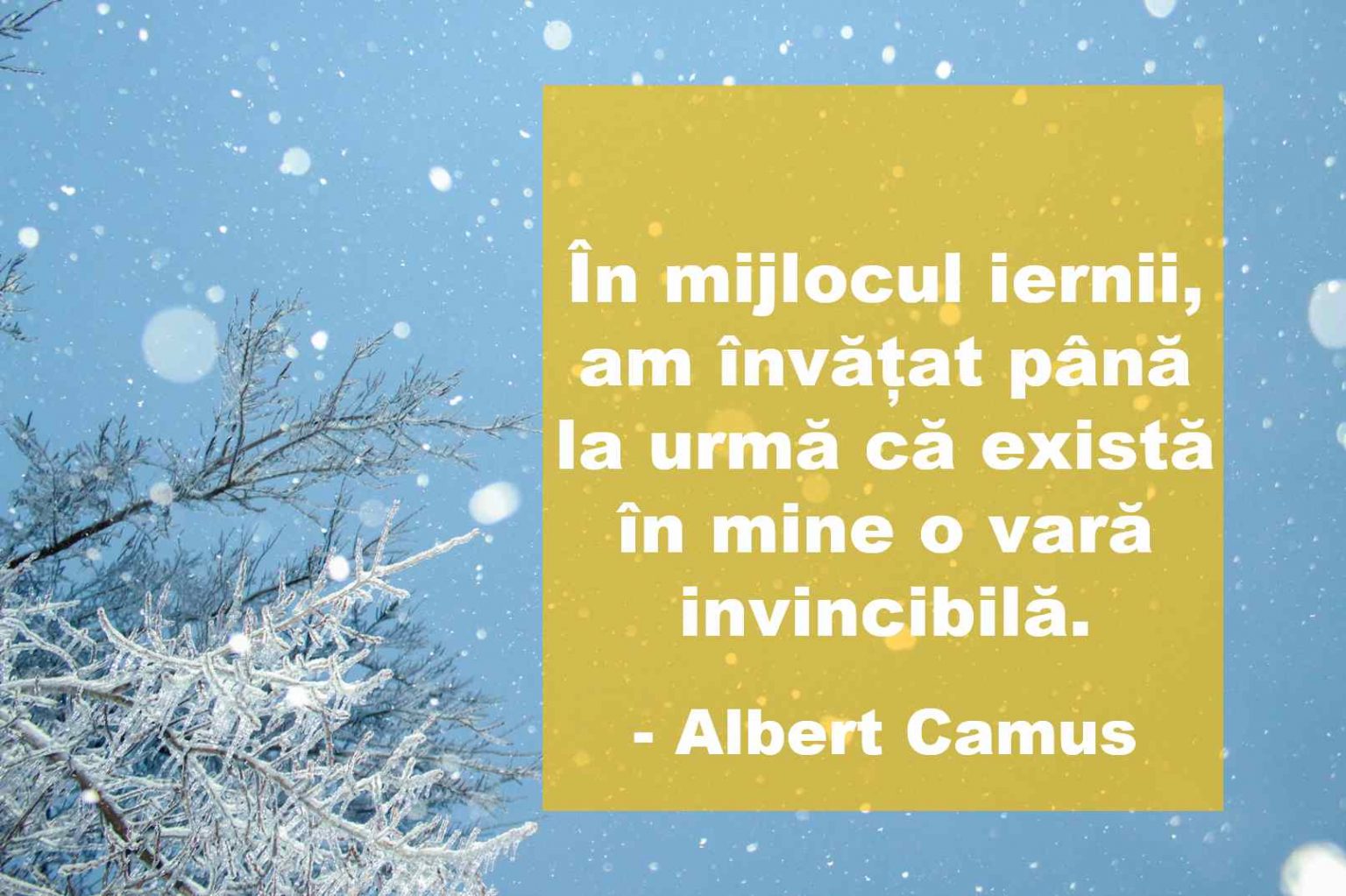 TOP 70 Citate despre iarna și magia iernii - Postmodern