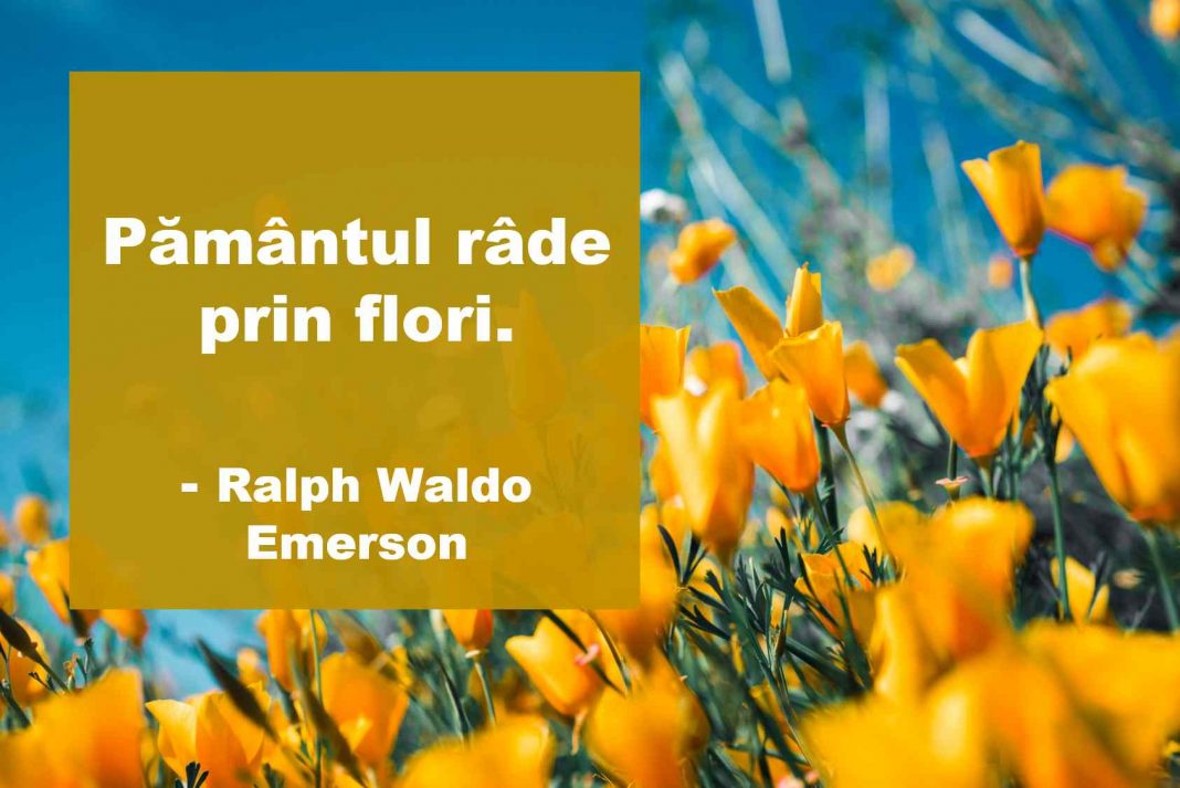 65 Citate despre primavara, frumusețea și emoțiile ei - Postmodern