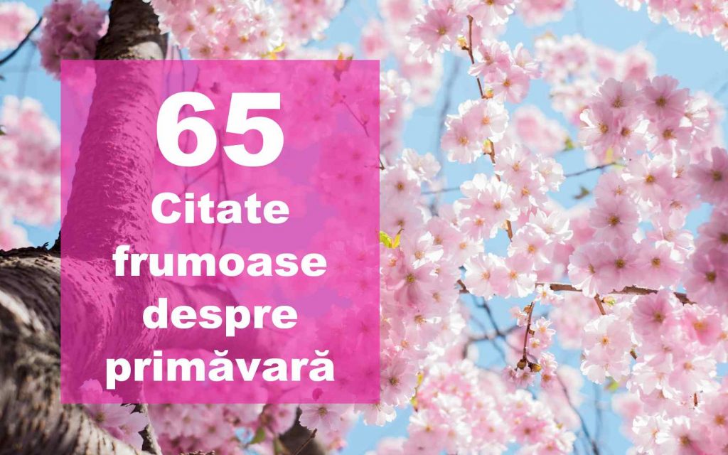 65 Citate despre primavara, frumusețea și emoțiile ei - Postmodern