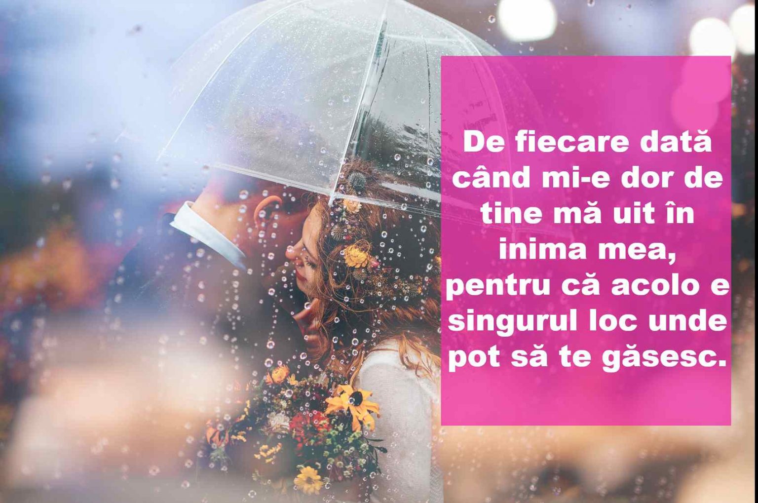 TOP 75 Citate despre dor și despre cât de tare te consumă lipsa lui/ei