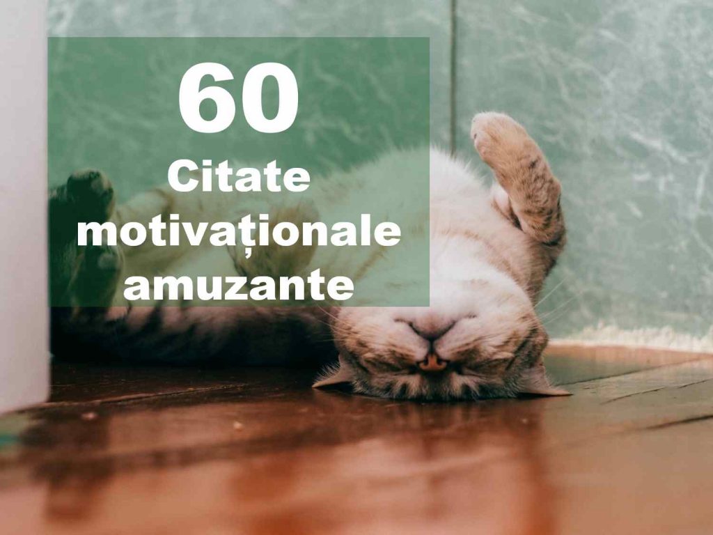 TOP 60 Citate motivationale amuzante și simpatice - Postmodern