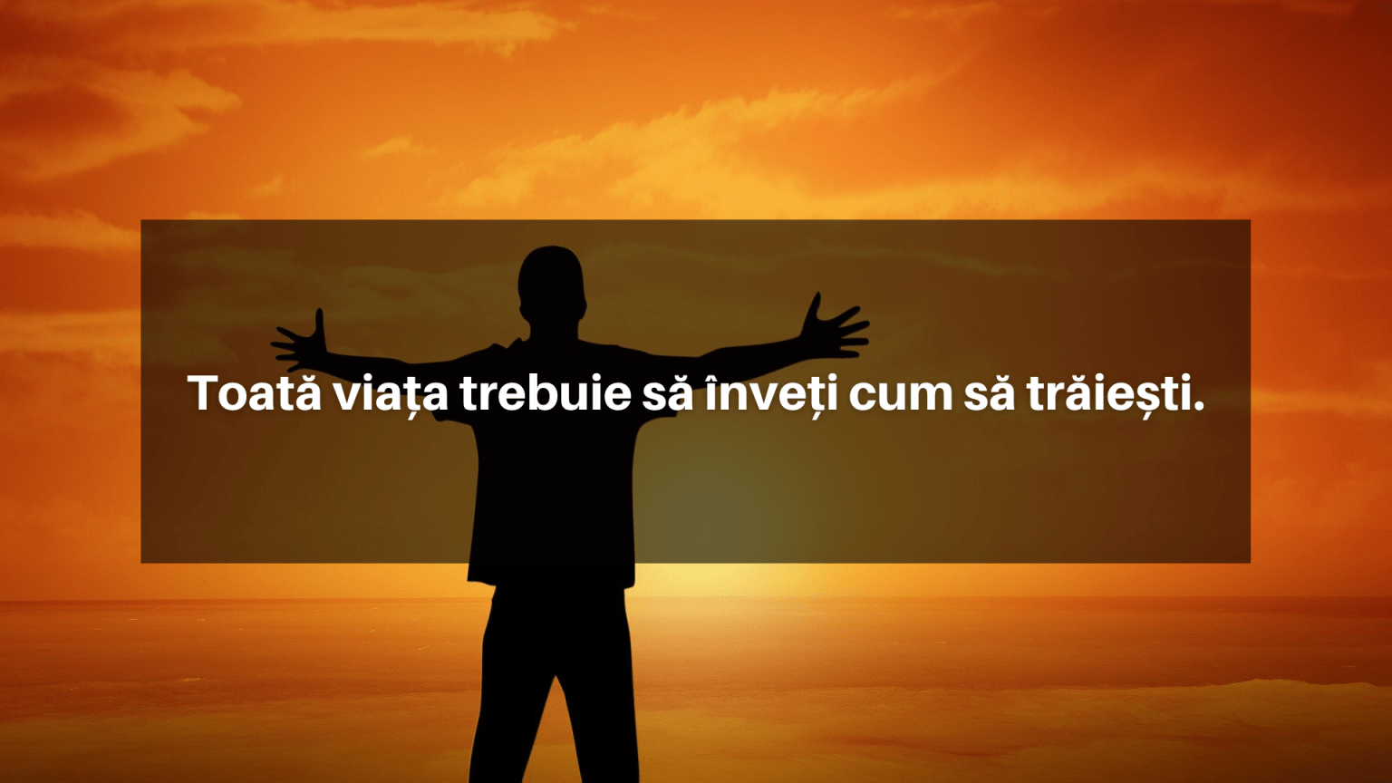100+ Cele mai profunde proverbe despre viata - Postmodern