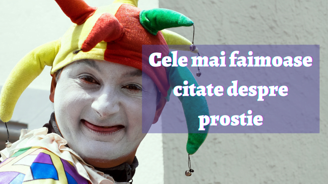 Cele mai faimoase 100+ citate despre prostie - Postmodern