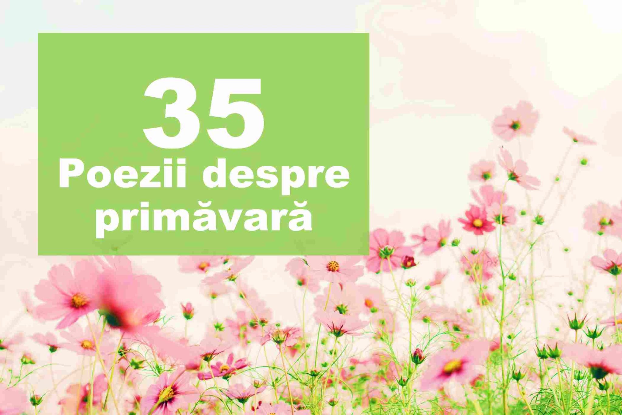 TOP 35 Poezii de primavara - cele mai frumoase poeme - Postmodern