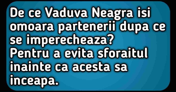 Bancuri noi - 100 glume noi pentru distracție maximă - Postmodern