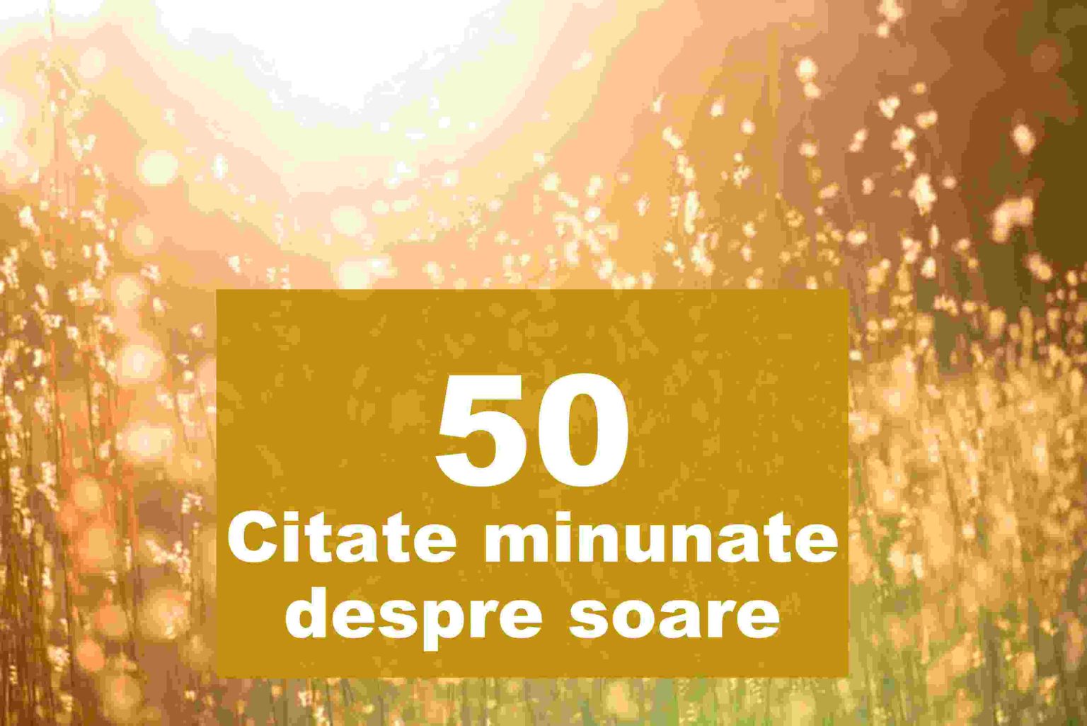 50 Cele mai frumoase citate despre soare, răsărituri și apusuri