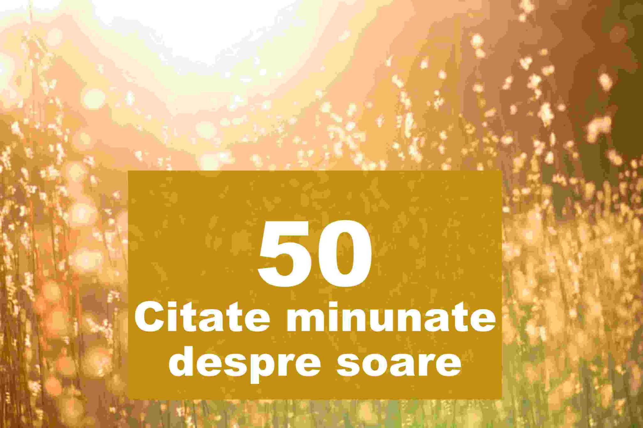 50 Cele mai frumoase citate despre soare, răsărituri și apusuri